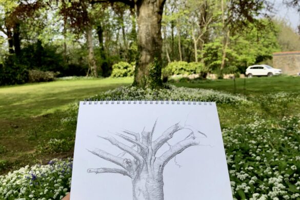 Shading Techniques Of Hatching And Cross Hatching • Drawing Life