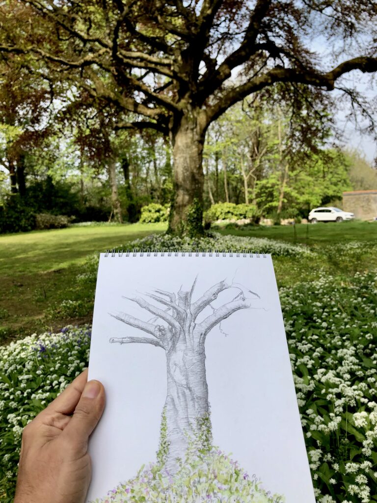 Drawings Of Trees And Foliage Gallery By Nab Zamali • Drawing Life